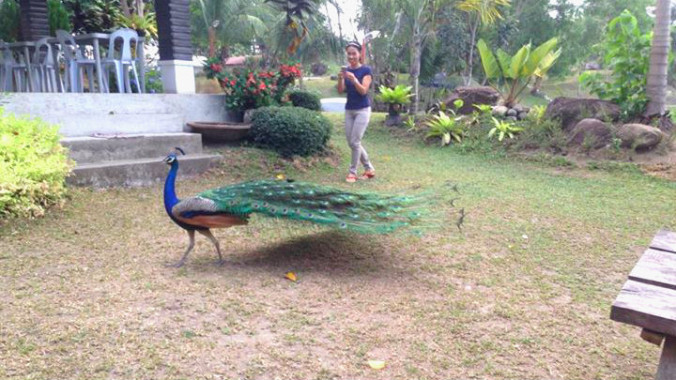 7 Activities To Do in Bantug Lake Ranch - Mea in Bacolod