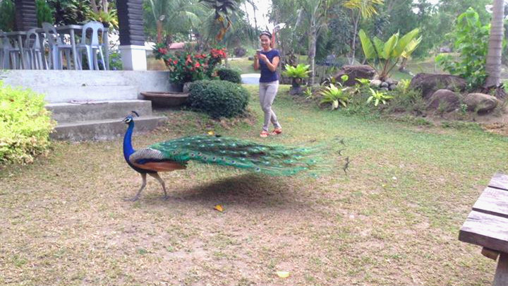 7 Activities To Do in Bantug Lake Ranch - Mea in Bacolod