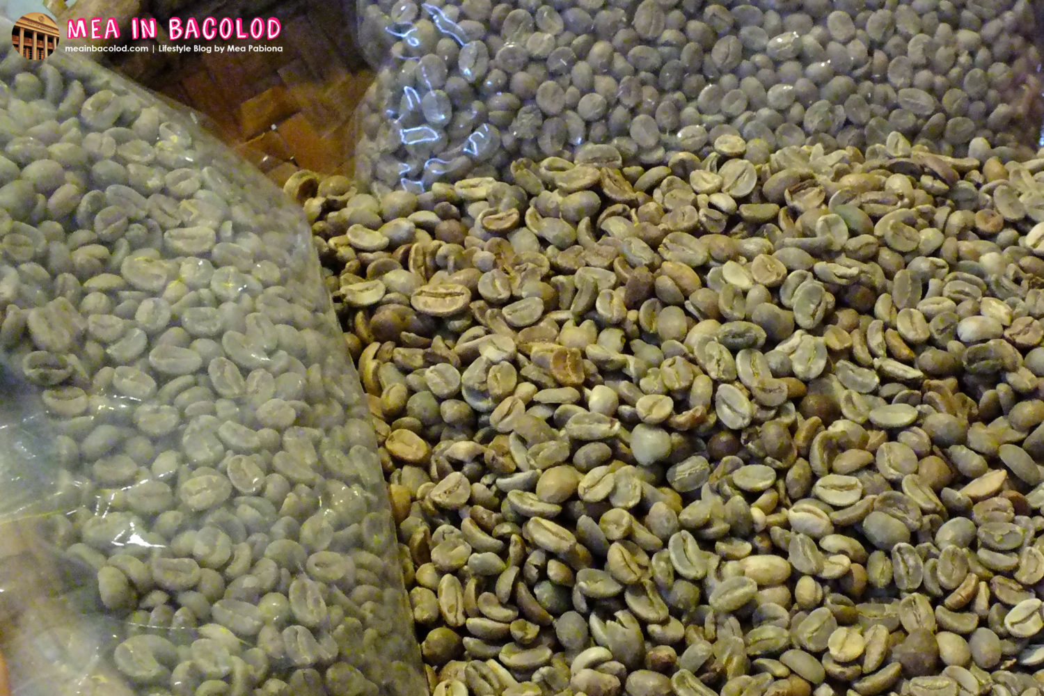 Bacolod Coffee Cupping Class by Coffee Culture | Mea in Bacolod